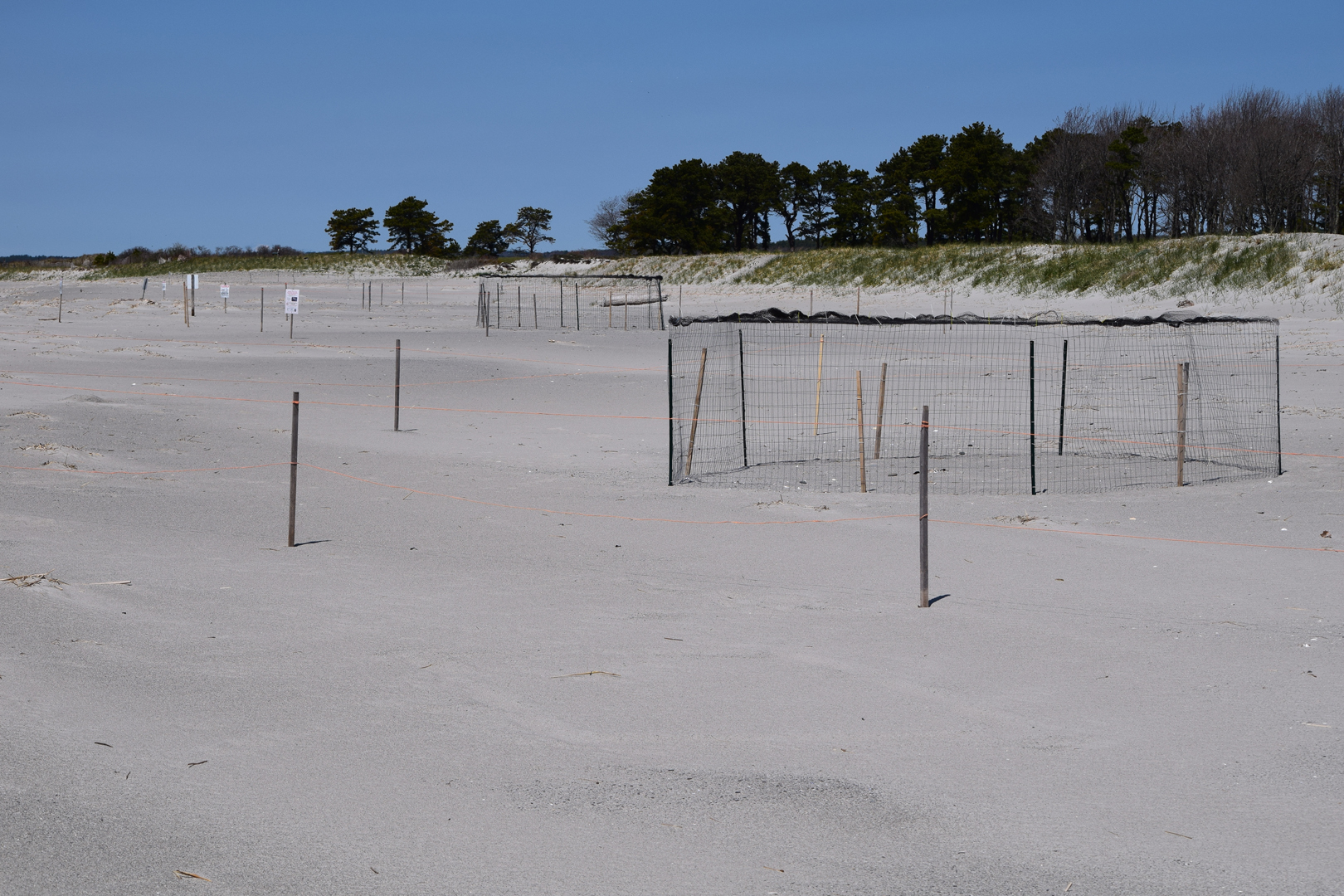 Piping Plover Enclosures | Nonesuch Project