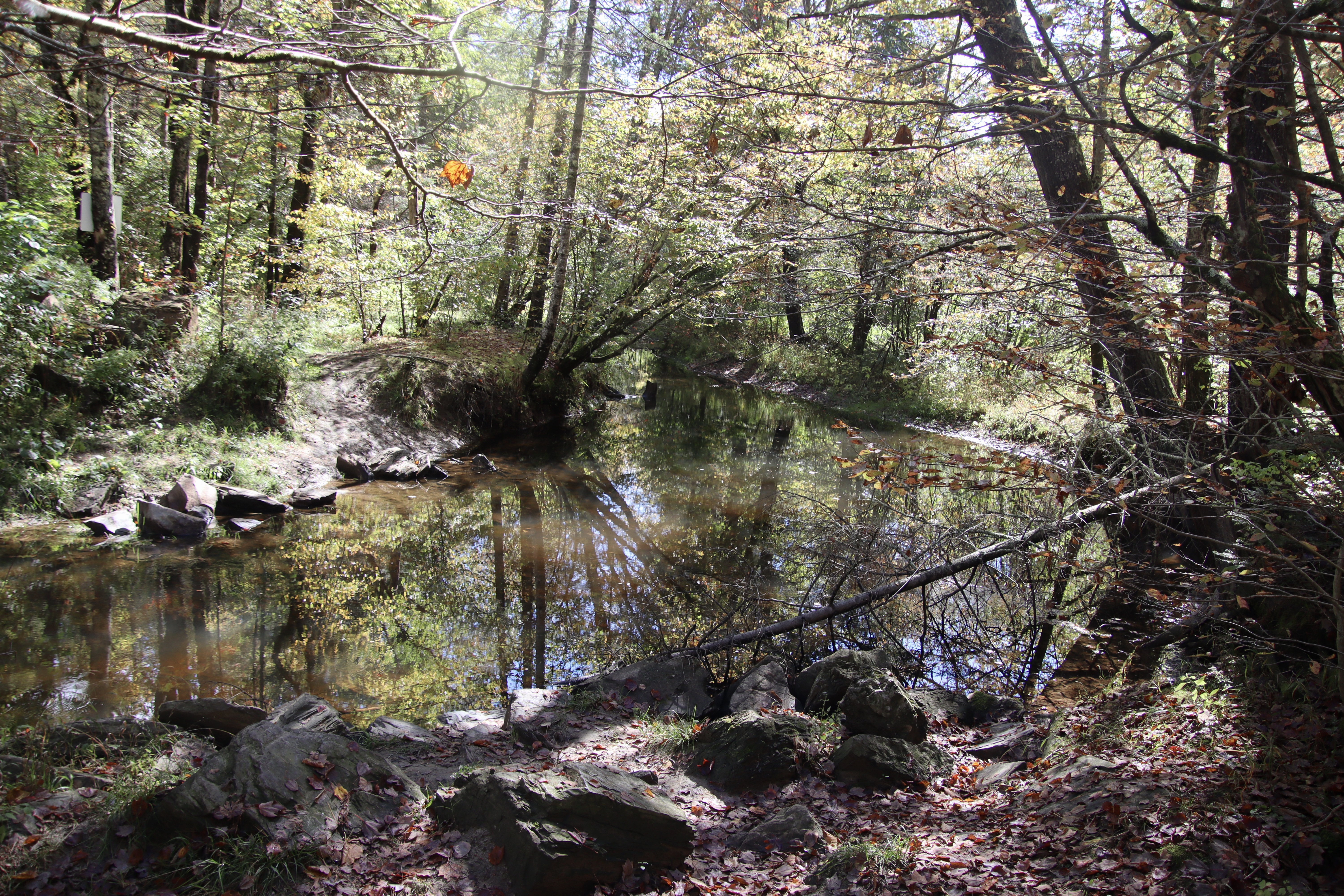 From Fuller Farm trails | Nonesuch Project
